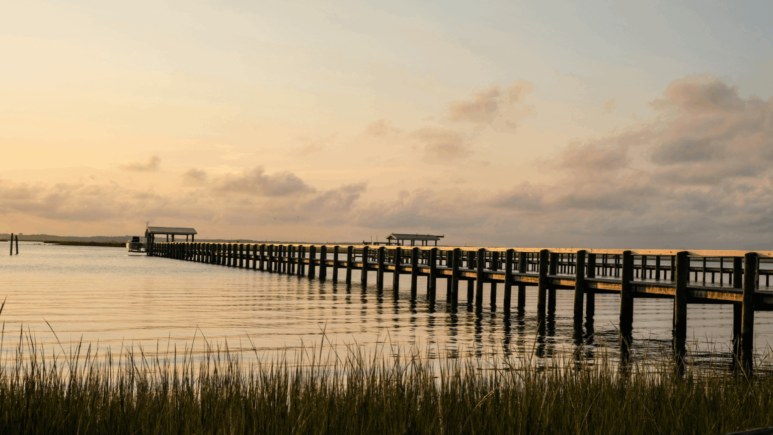 Essential Progressive Discipline Template For Virginia Beach HR ...