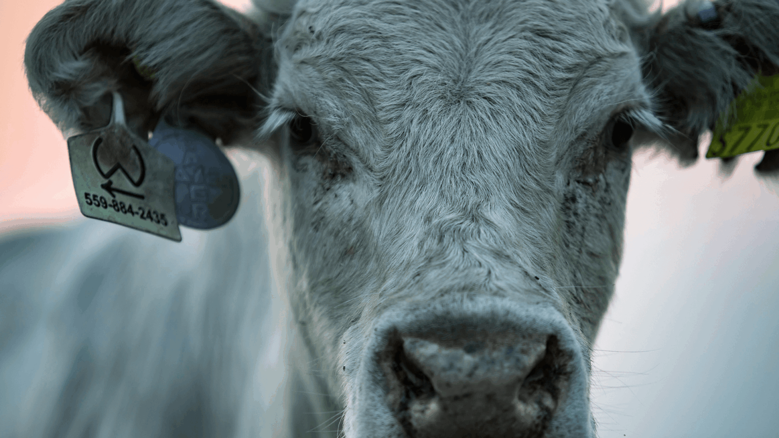 Milwaukee Commercial Solar Panel Cleaning: Boost Energy Efficiency ...